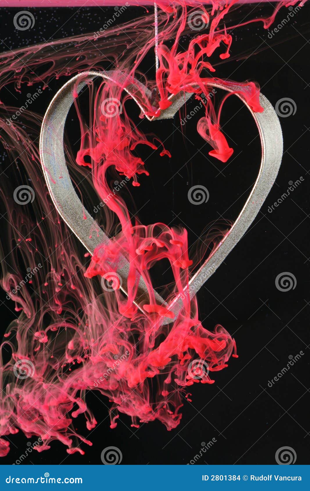 Bleeding Heart stock photo. Image of immersed, metal, blood - 2801384