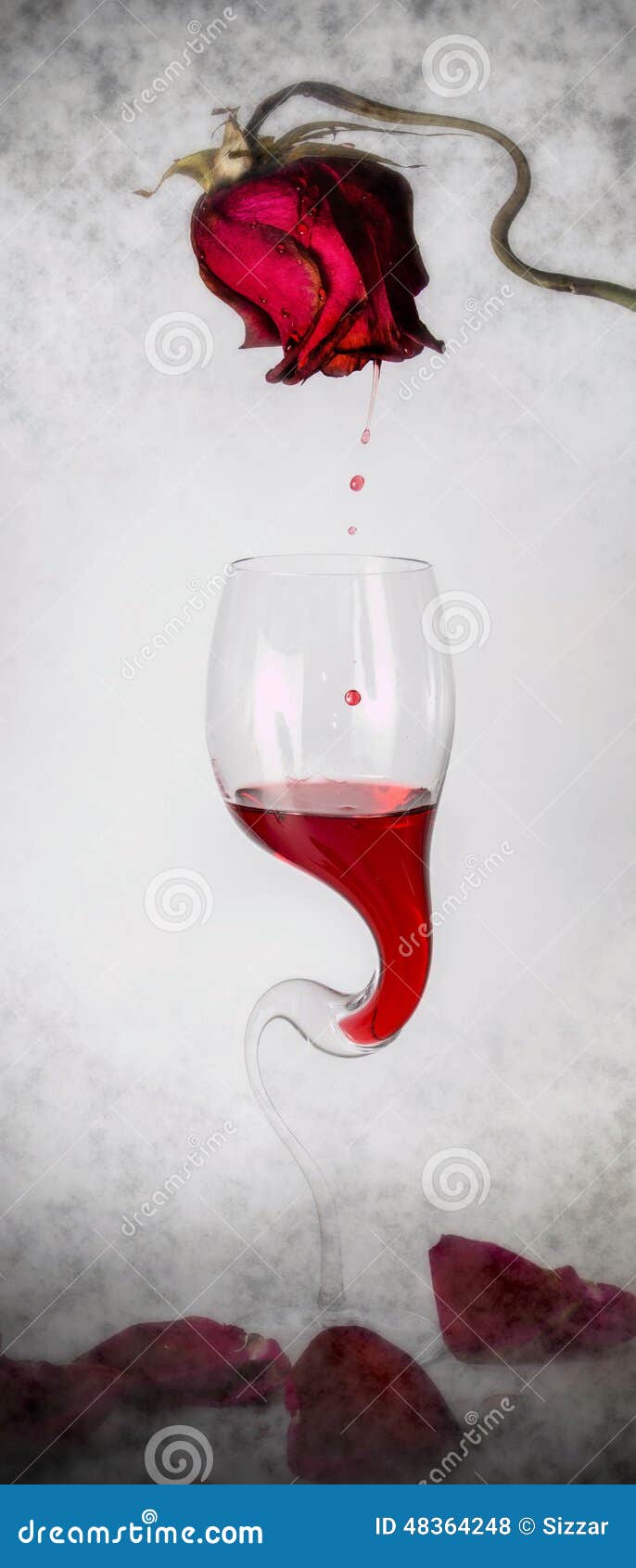 Bleeding rose stock photo. Image of drama, artistic, flower - 48364248