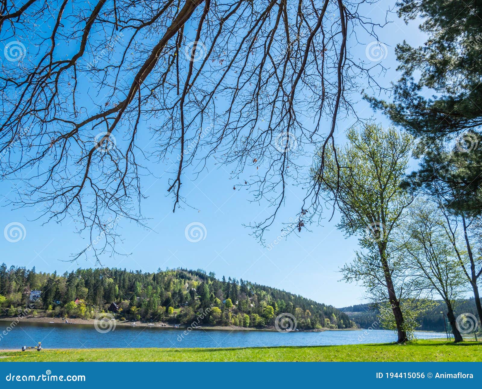 Bleilochtalsperre in Thuringia East Germany Stock Photo - Image of ...