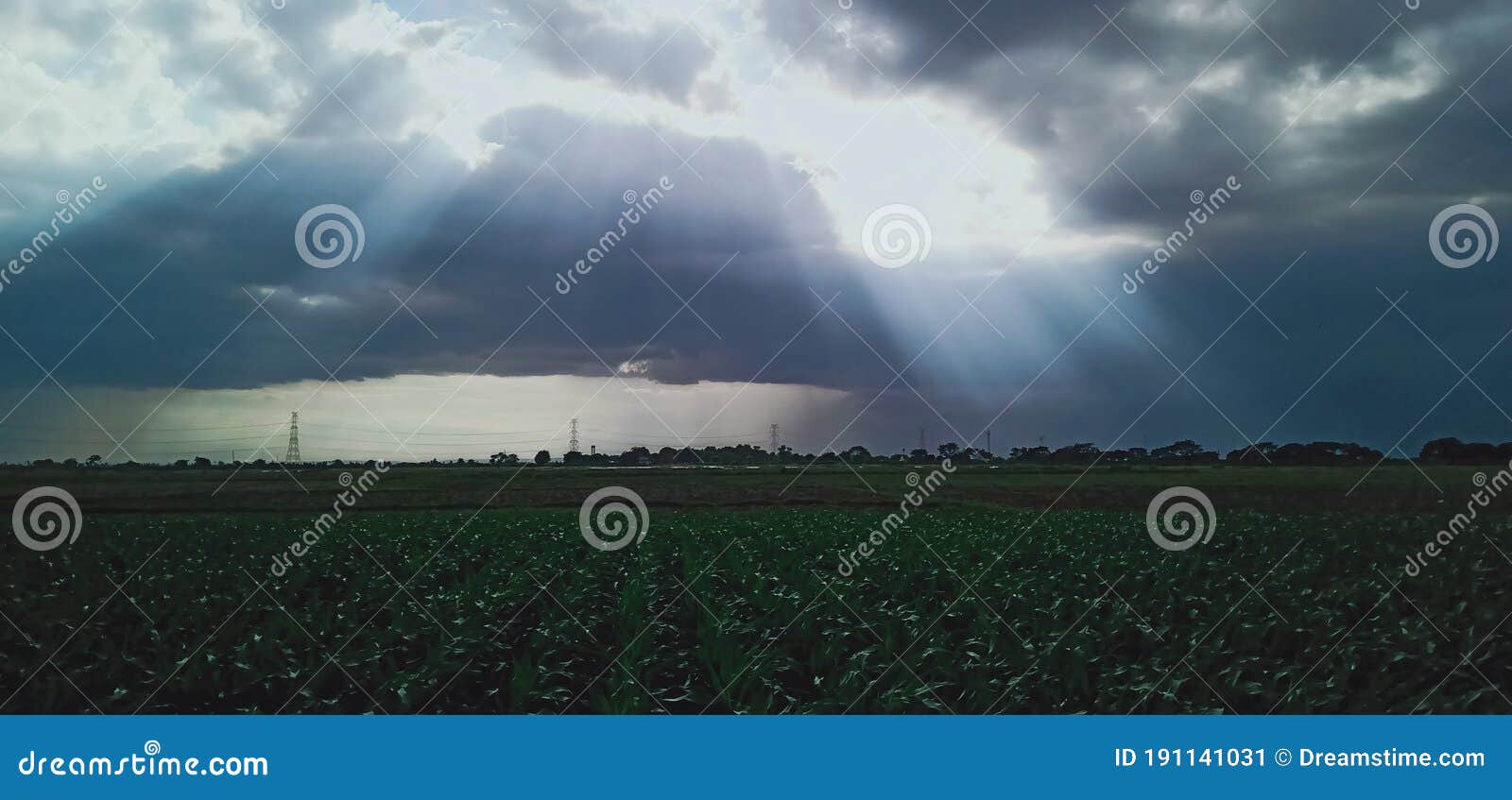 Blessed Nature in the Fields Stock Image - Image of awsome, blessing ...
