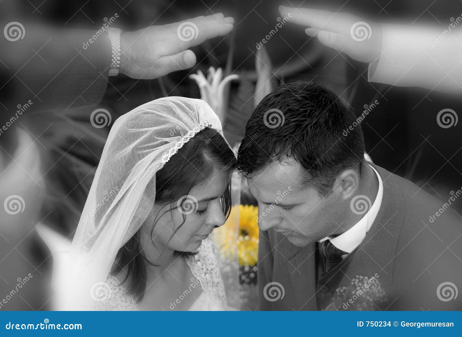 Blessing the new couple stock photo. Image of people, moment - 750234