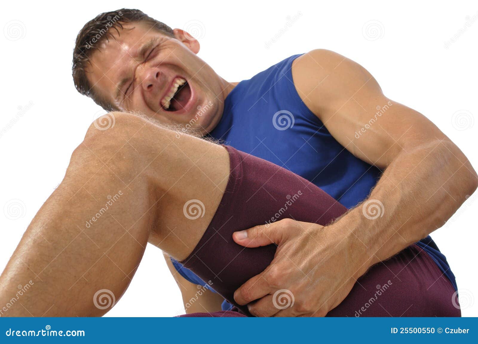 Blessures De Tendon Du Jarret Photo stock - Image du patte, contrainte ...