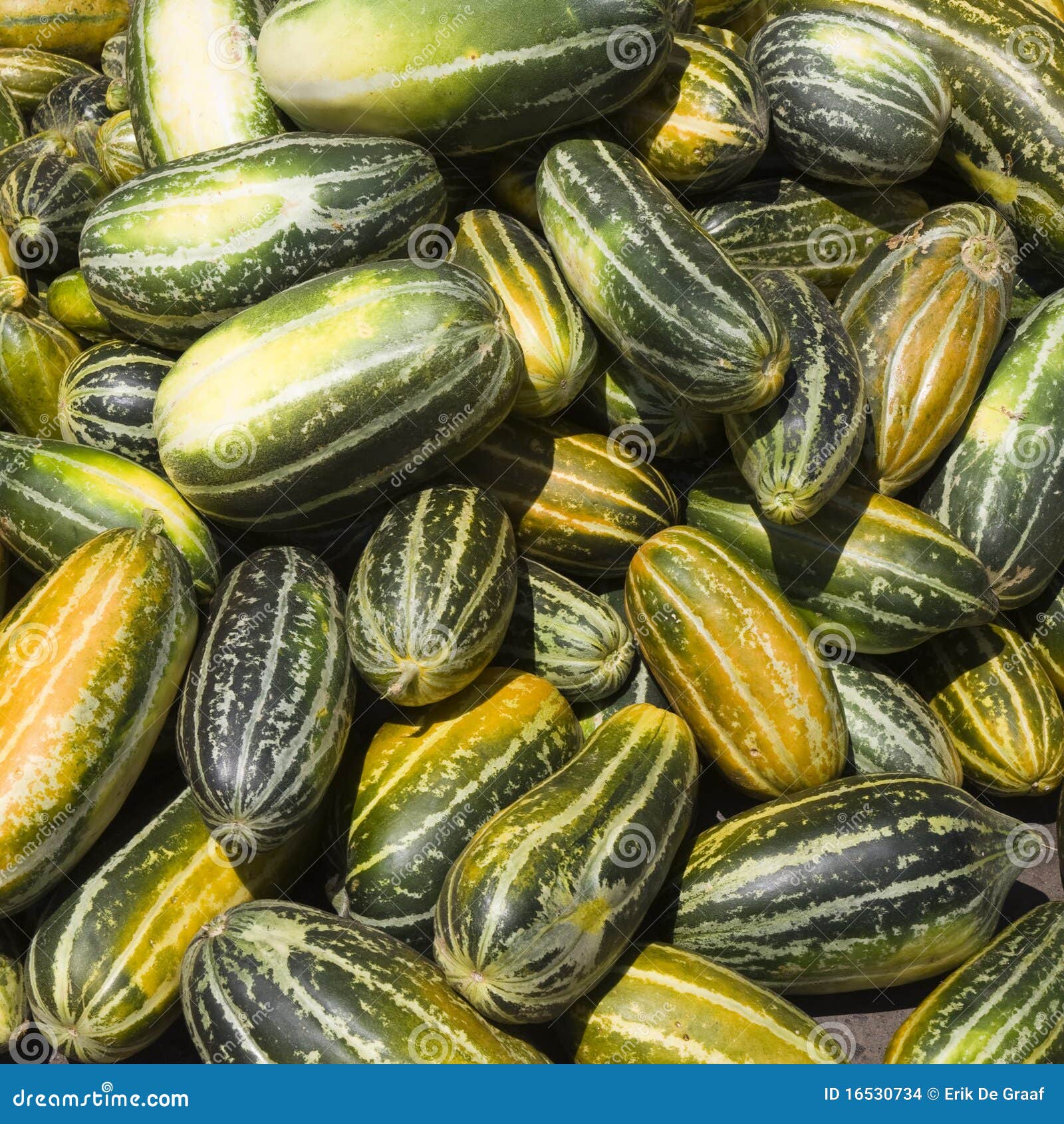 Blewah stock photo. Image of farming, blewah, health - 16530734