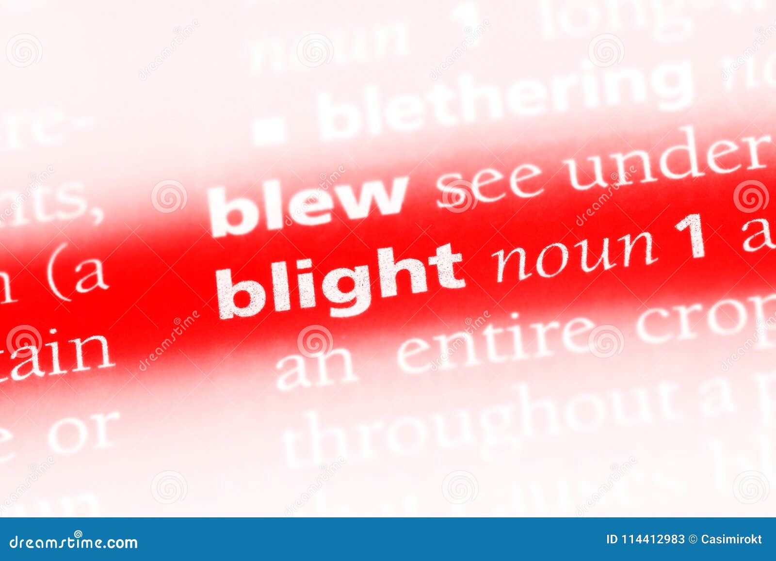 Blight stock image. Image of dictionary, definition - 114412983