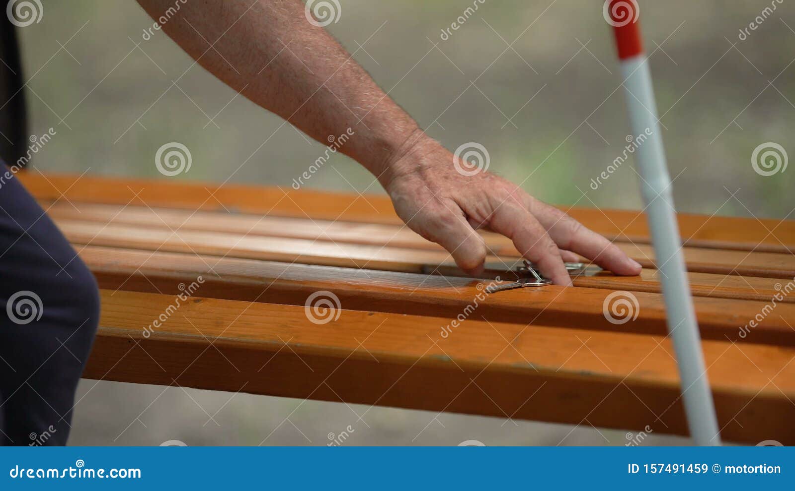 Blind Finding Lost Keys on Bench, Visual Challenges in Everyday Life of ...