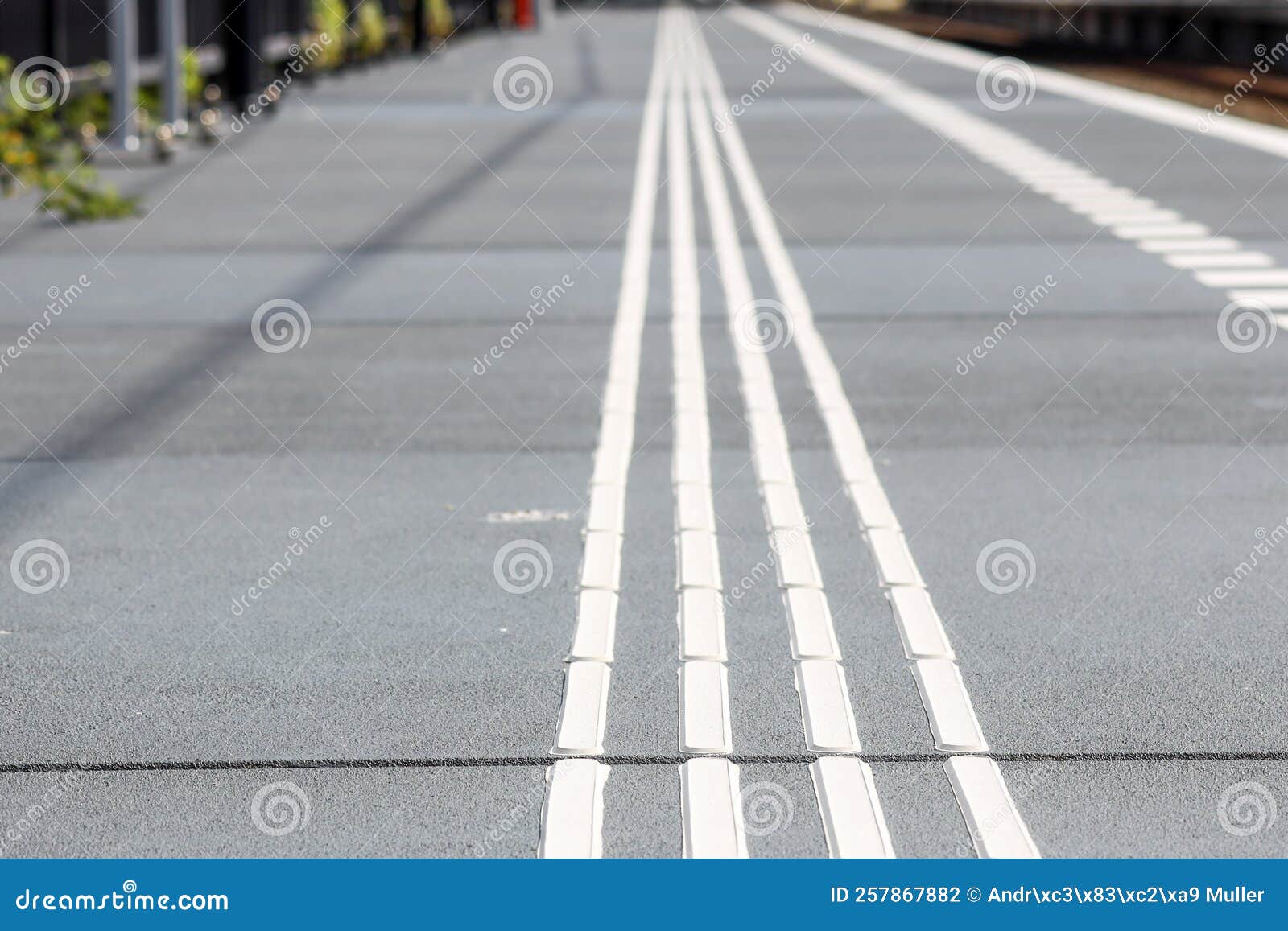 Blind Guide Strips on the Platform of Lansingerland Zoetermeer Station ...