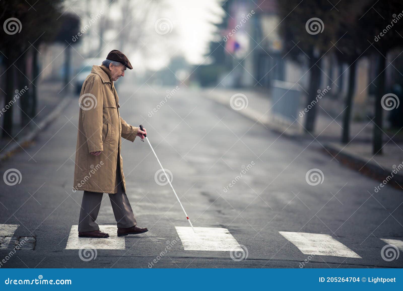 Blind Man Crossing a Street Stock Photo - Image of accessibility, cane ...