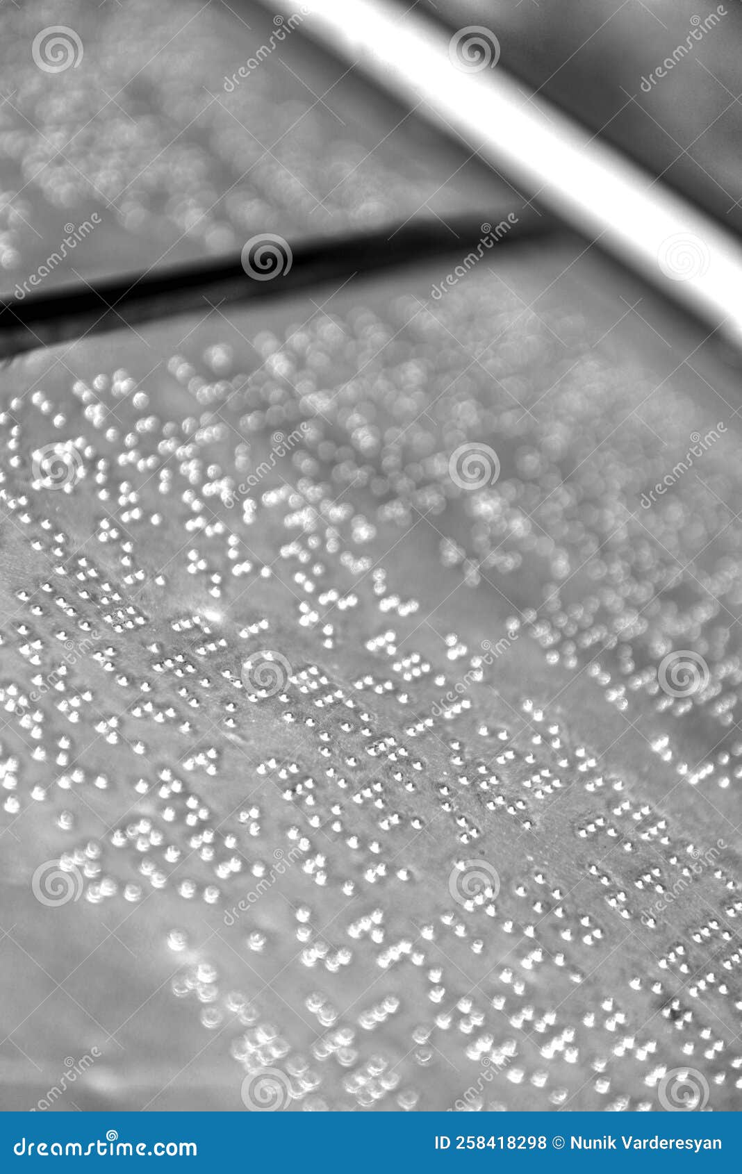 Blind People Read Braille Text Editorial Stock Photo - Image of symbol ...