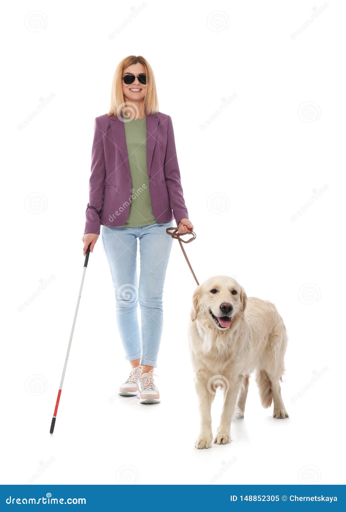 Blind Person with Long Cane and Guide Dog on White Stock Image - Image ...