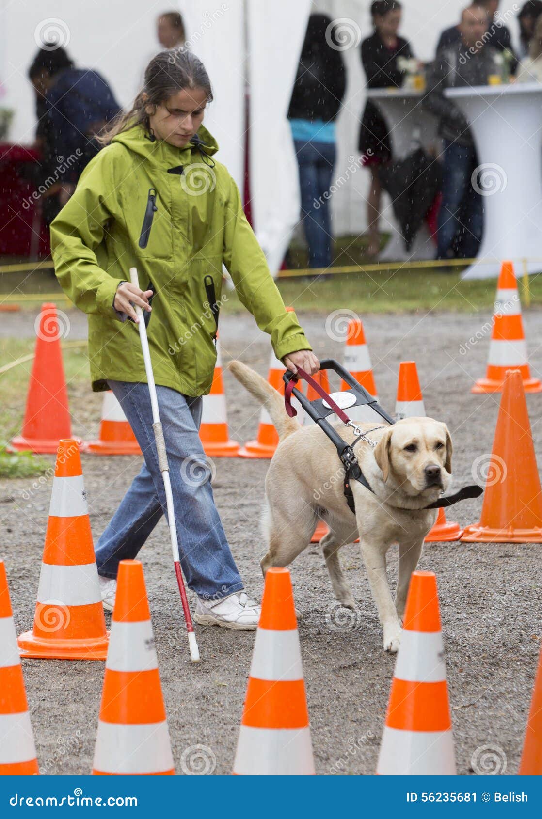 Blinde Person Mit Ihrem Blindenhund Redaktionelles Foto - Bild von hund ...