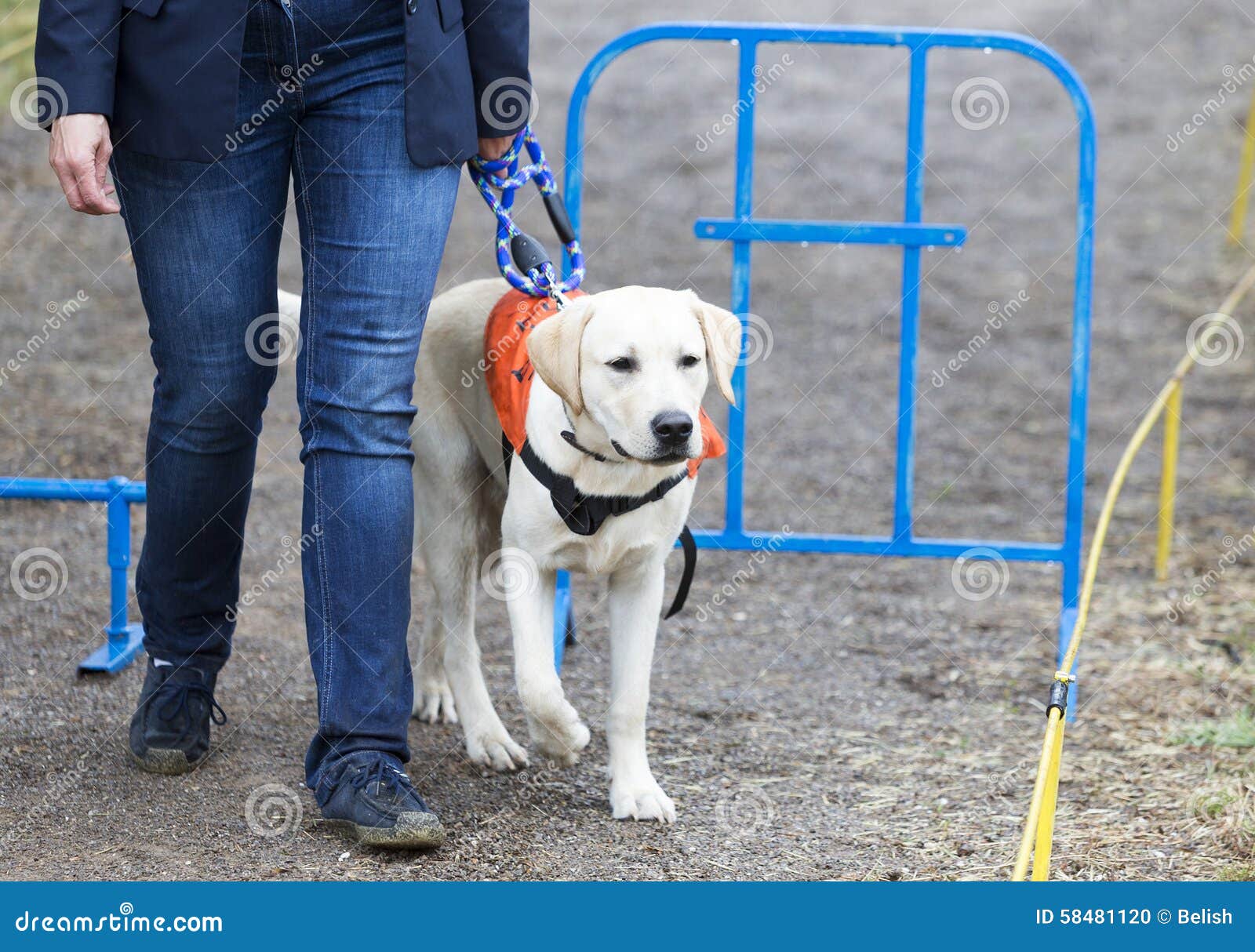 Blinde Person Mit Ihrem Blindenhund Stockfoto - Bild von hindernis ...