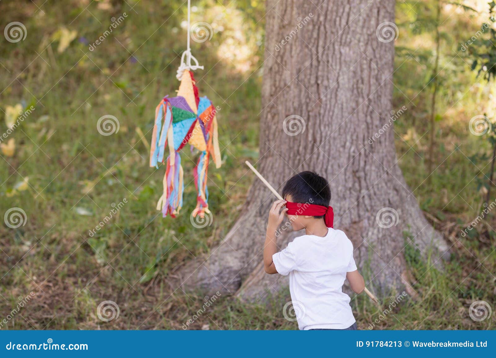 Blindfolded Boy Hitting Pinata in Forest Stock Image - Image of ...