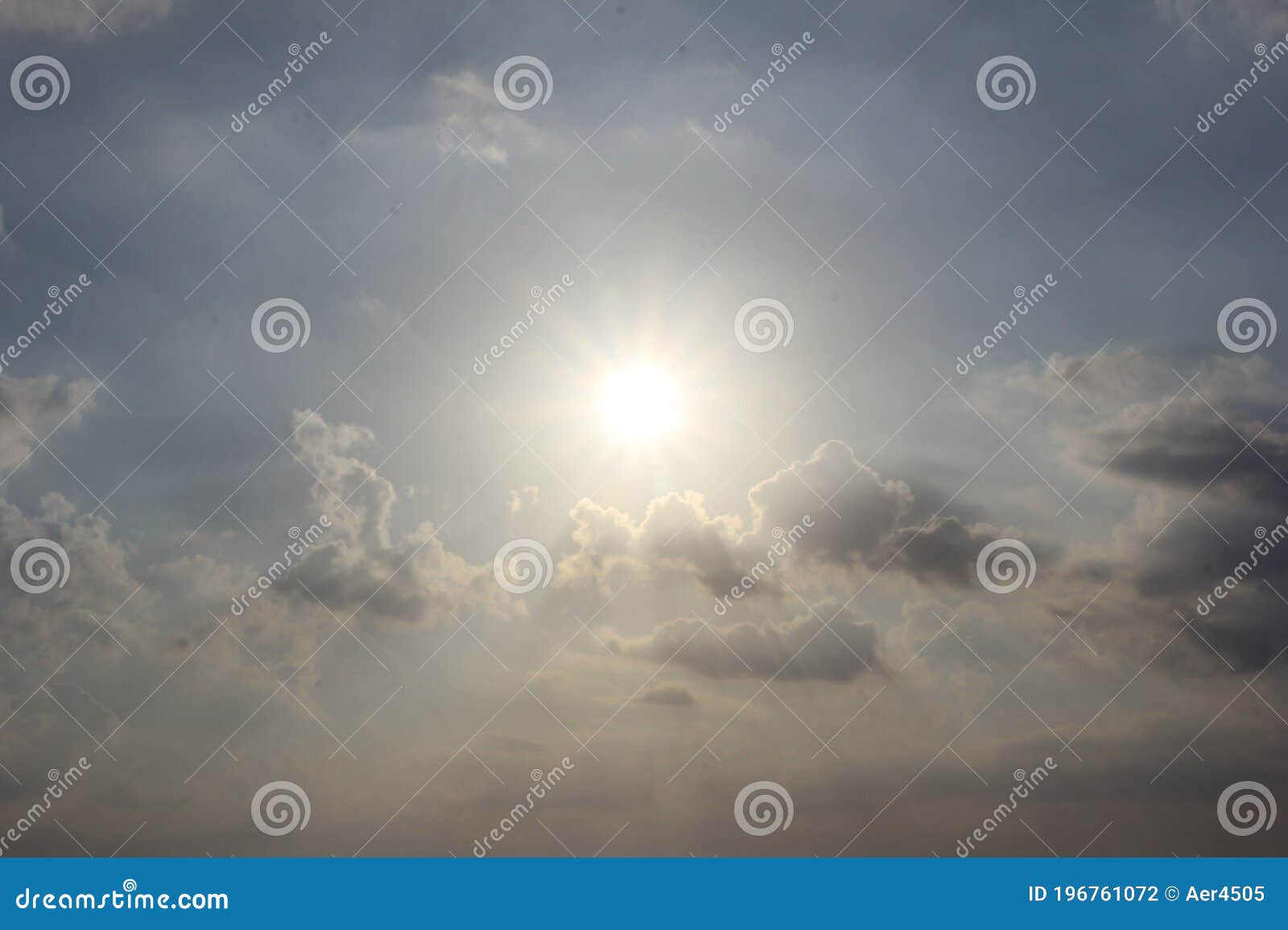The Blinding Sun Shines Brightly Stock Photo - Image of feathery ...