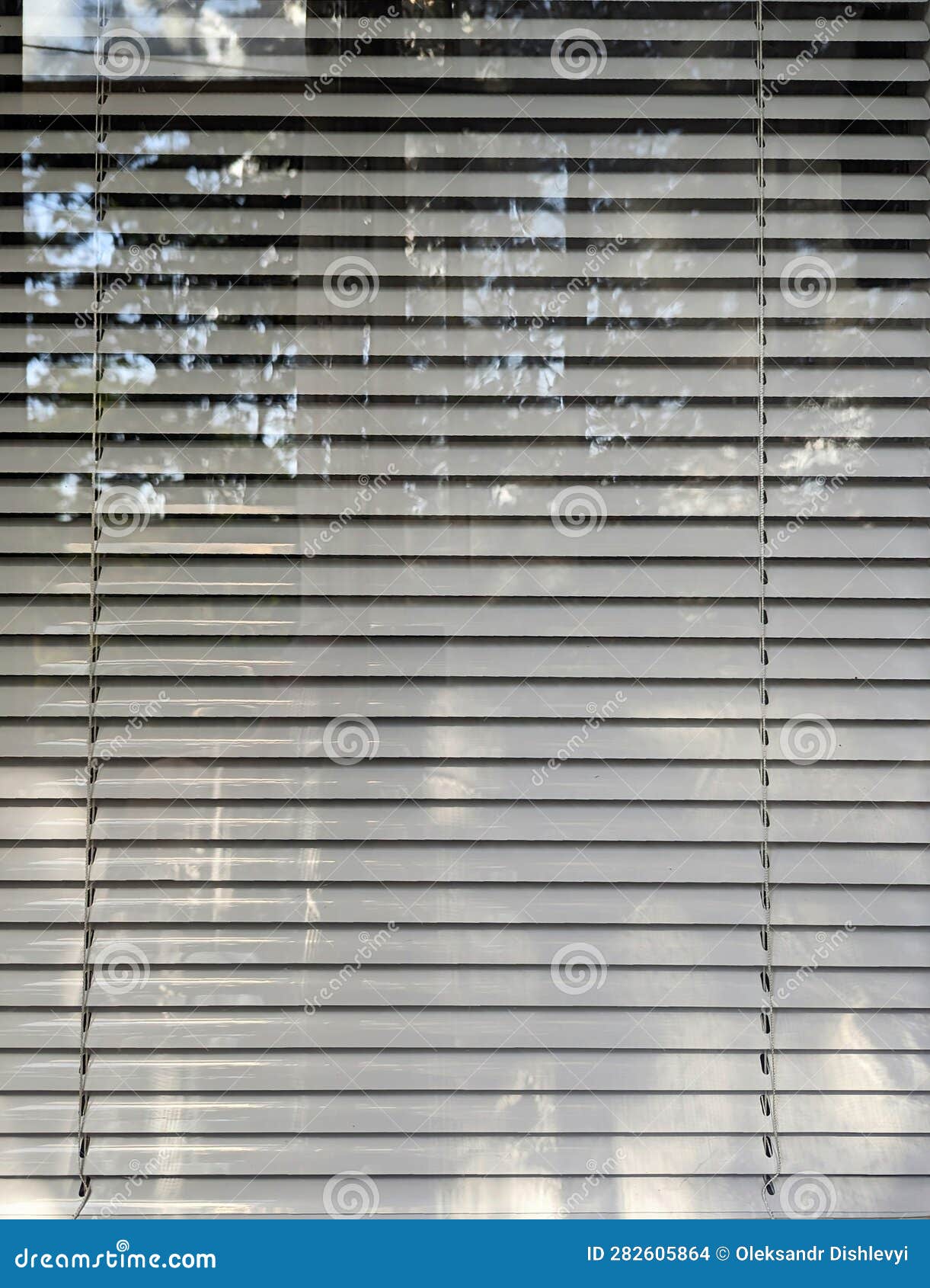 Blinds Behind the Glass, Partially Closed, with Reflection of Trees ...