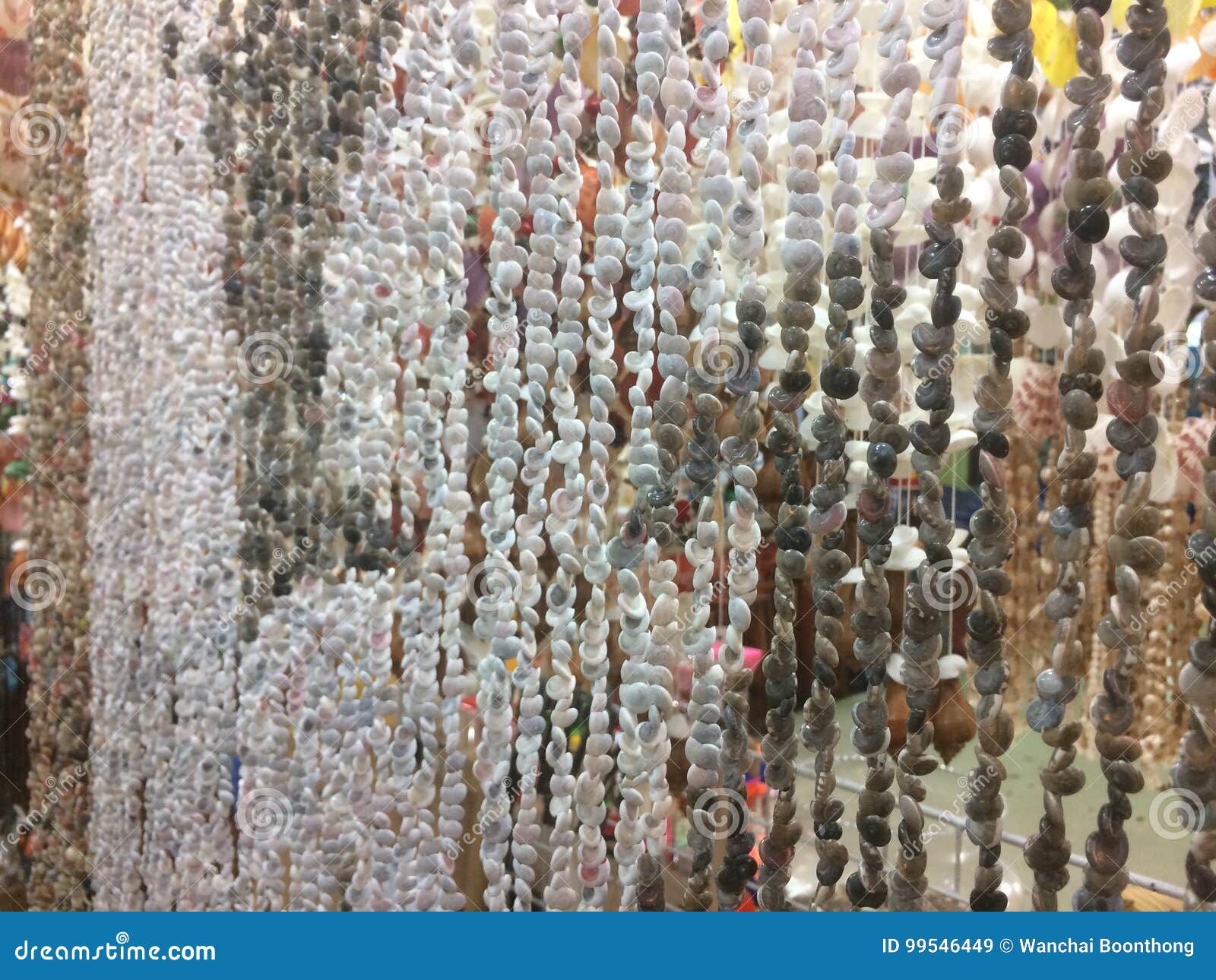 Shells blinds stock image. Image of shells, black, reptiles - 99546449