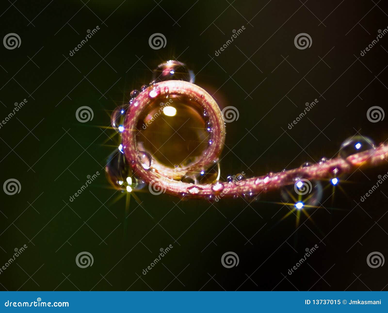 Bling Bling stock image. Image of blinding, happiness - 13737015
