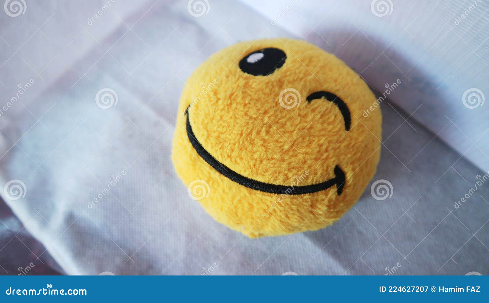 Smiley Doll Holding A Blank Signage. Royalty-Free Stock Photography ...