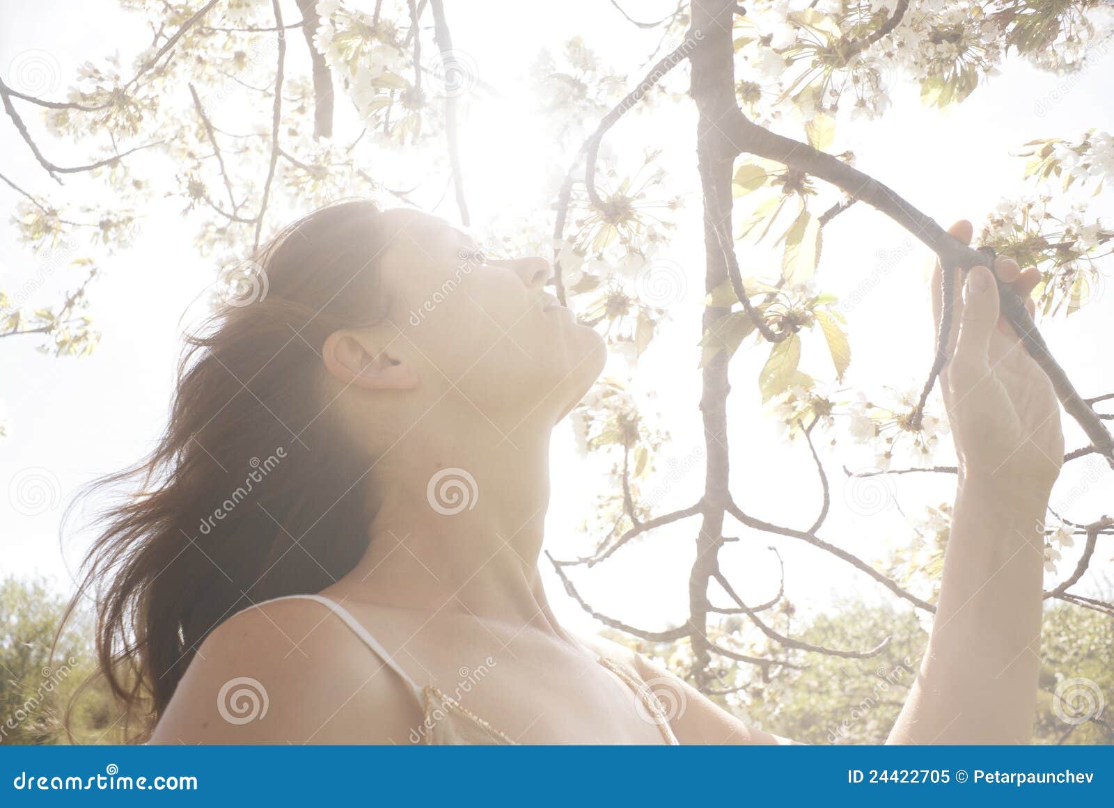 Blissful Light stock image. Image of caucasian, purity - 24422705