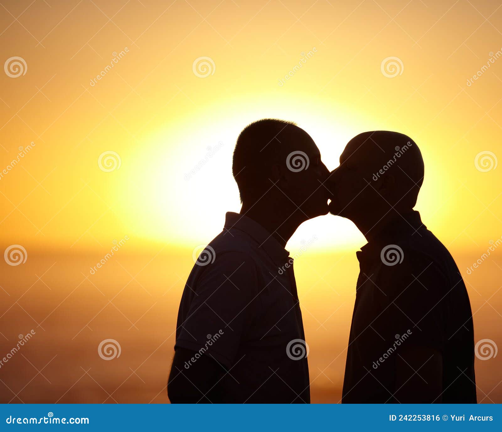 Blissful Sunset Kiss Gay Couple Sihlouette Portrait Of Homosexual