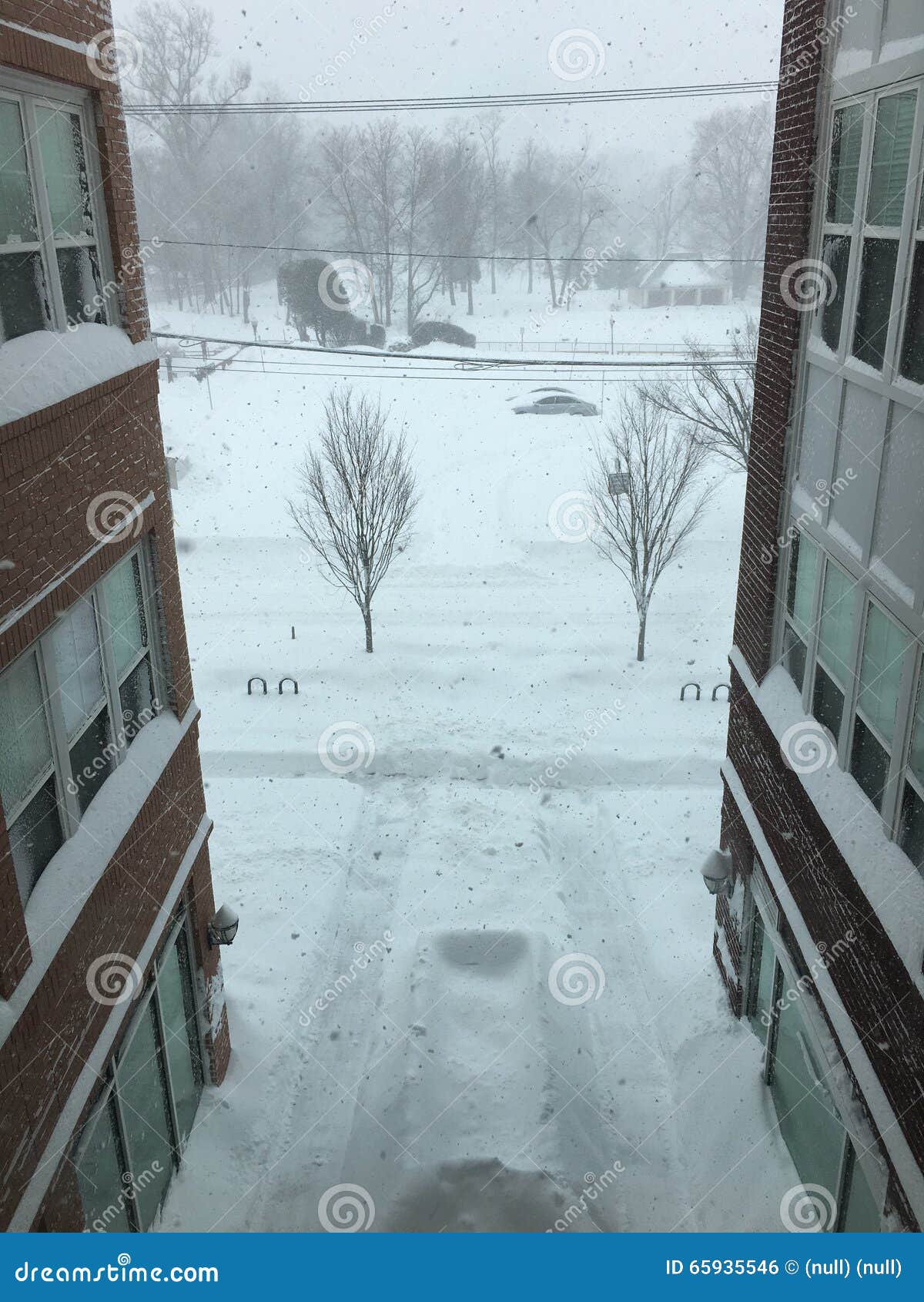 Blizzard of 2016 stock photo. Image of great, blizzard - 65935546