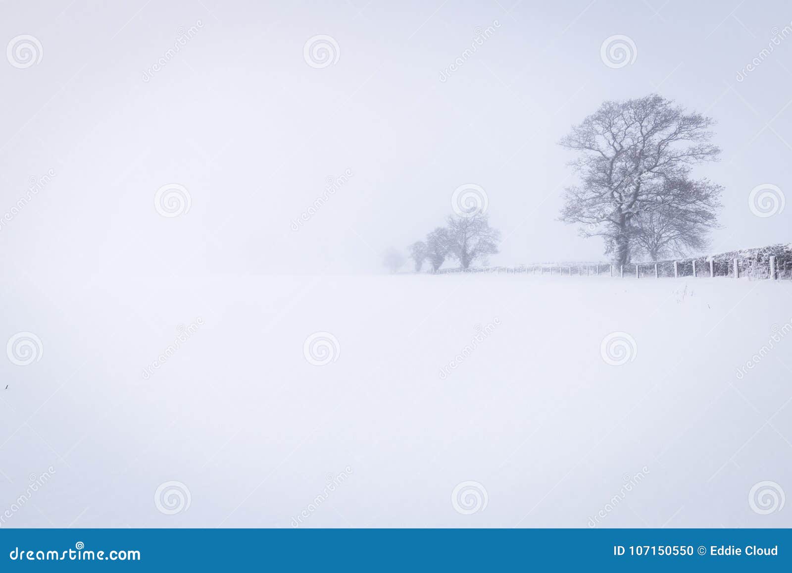 Blizzard Over British Countryside Fields Stock Photo - Image of scene ...