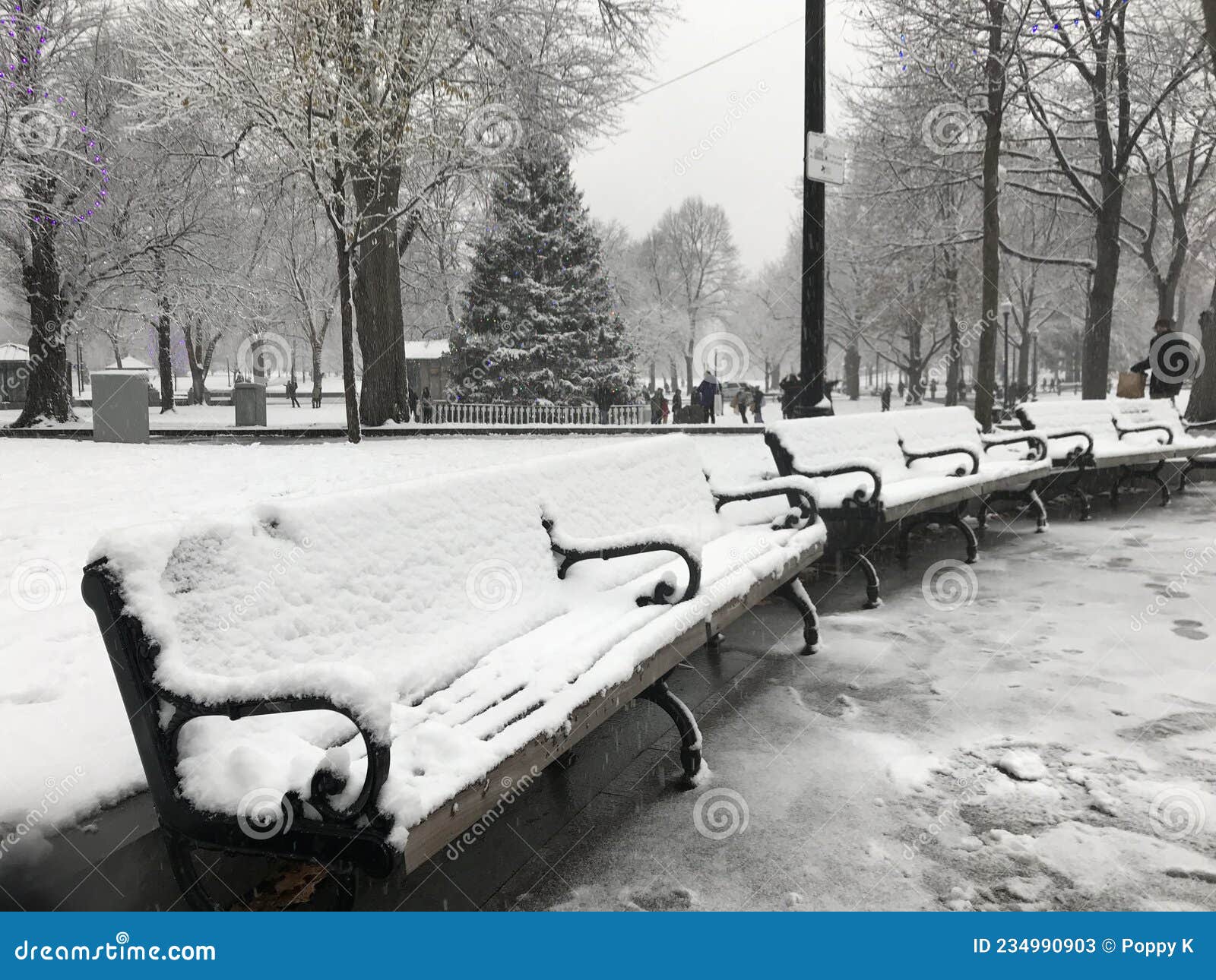 The Blizzard Snow in Boston Common in the City of Boston. Stock Image ...