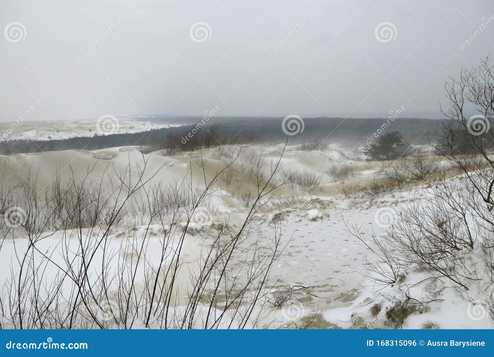 A Blizzard in the White Sand Dunes Stock Photo - Image of frost, wind ...