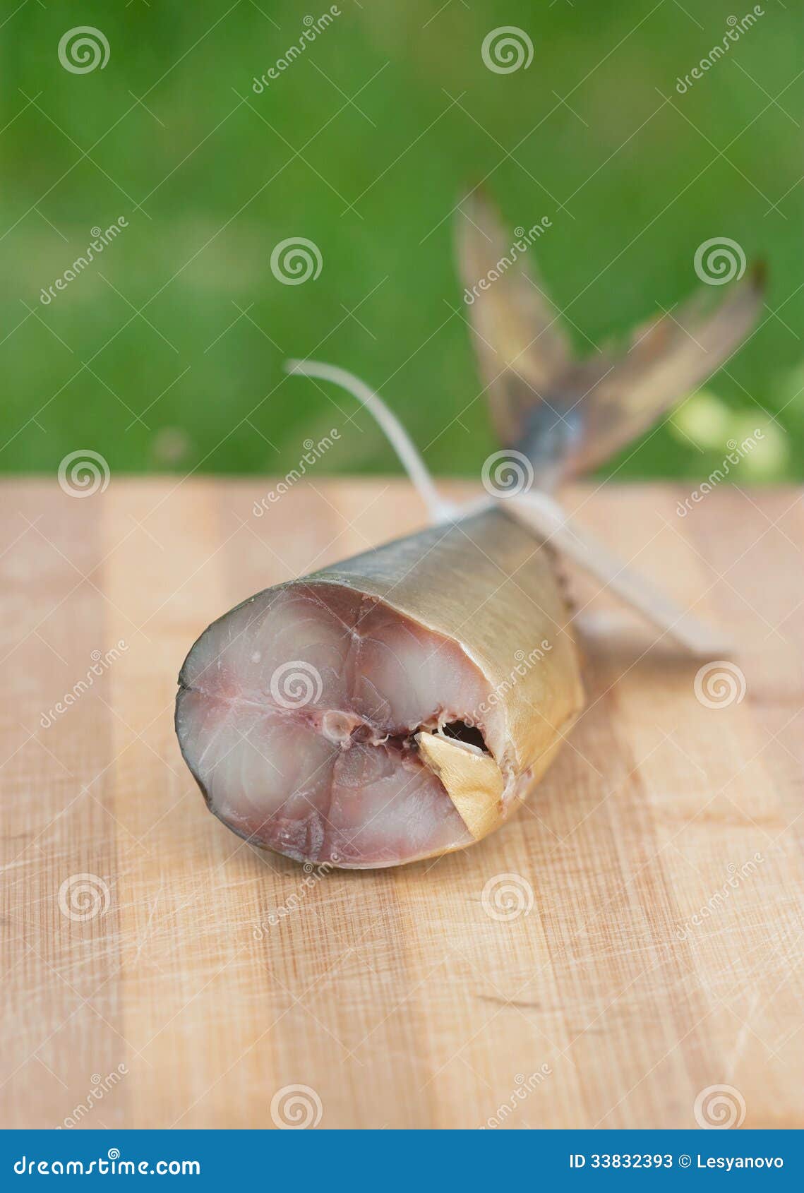 Bloated Fish on the Hardboard Stock Image - Image of outdoors, snack ...