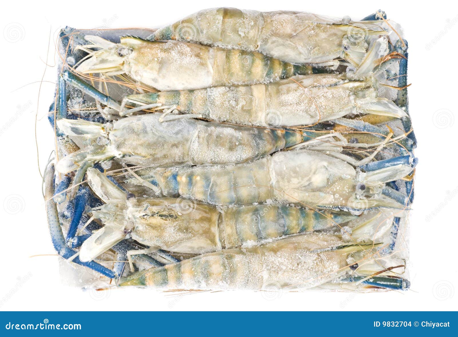 Block of Frozen Shrimp stock photo. Image of shell, food - 9832704