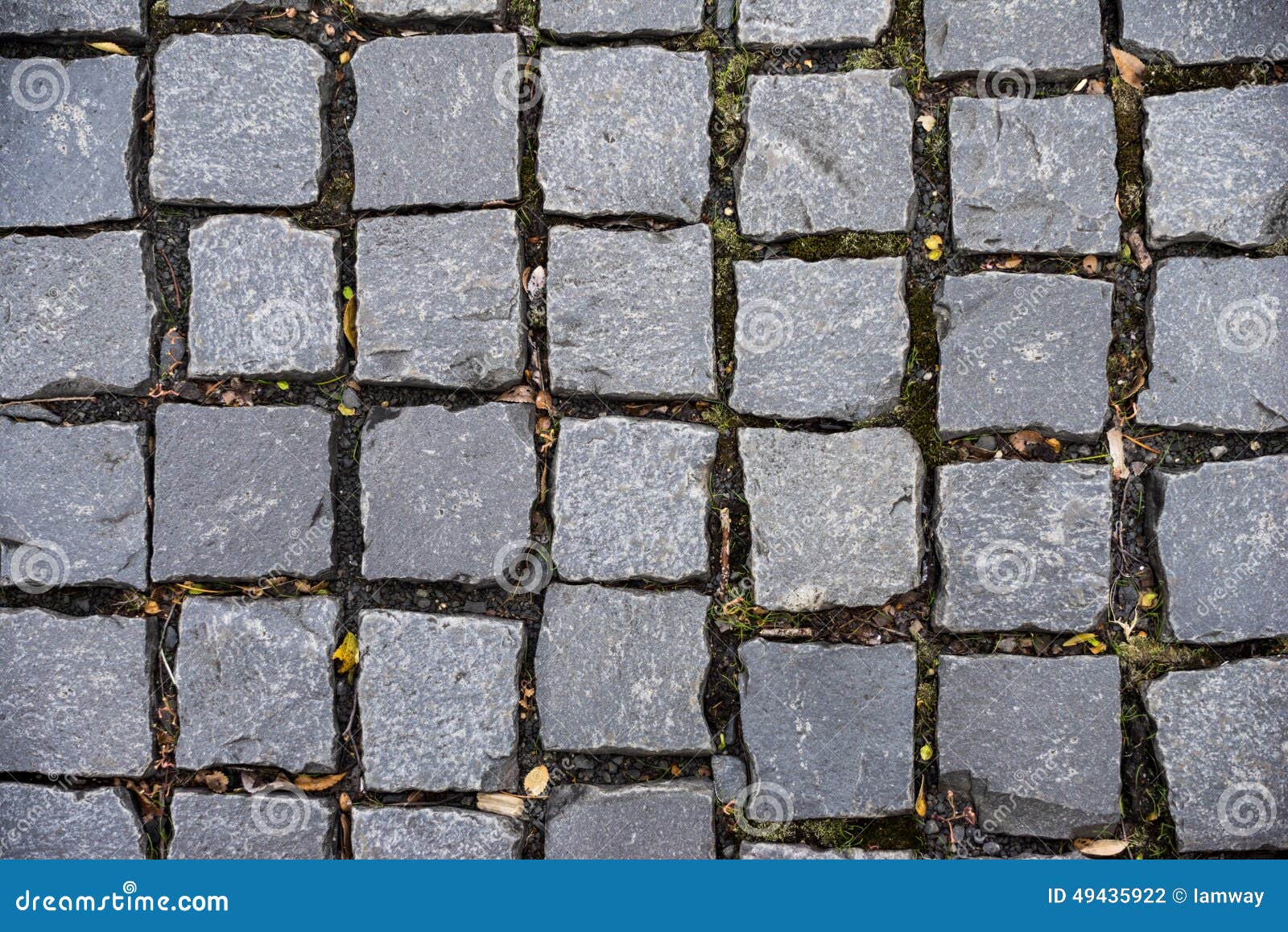 Block Pavement Square Stone on the Floor Stock Photo - Image of ...