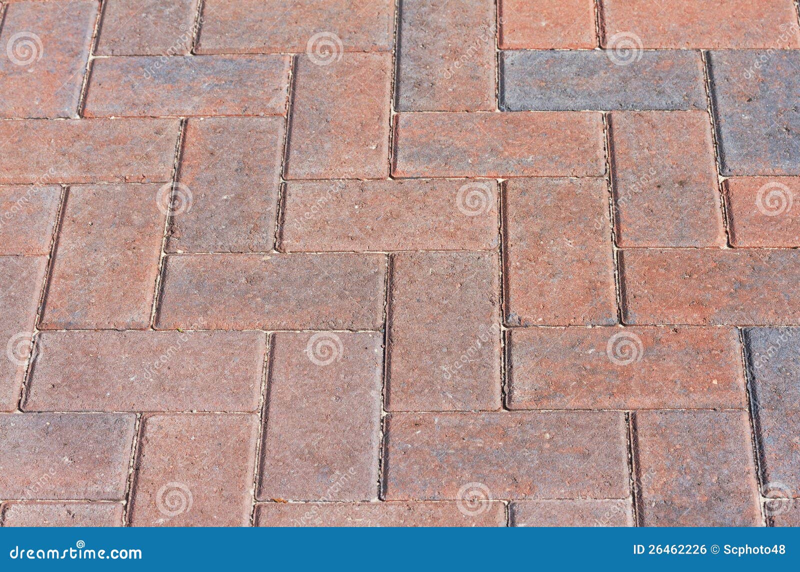 Block pavior drive stock photo. Image of pattern, exterior - 26462226