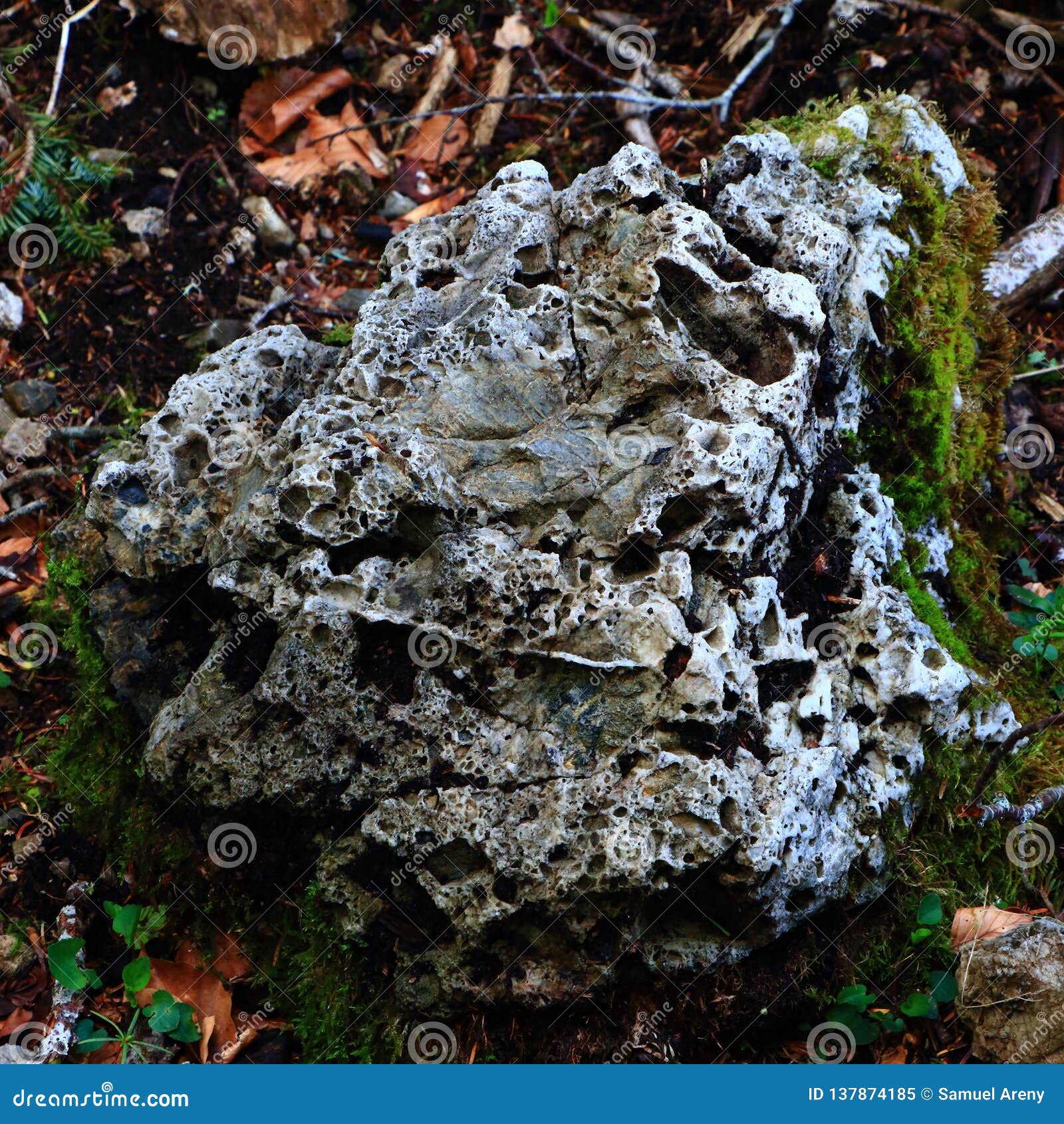 Block of rock on the floor stock image. Image of nature - 137874185