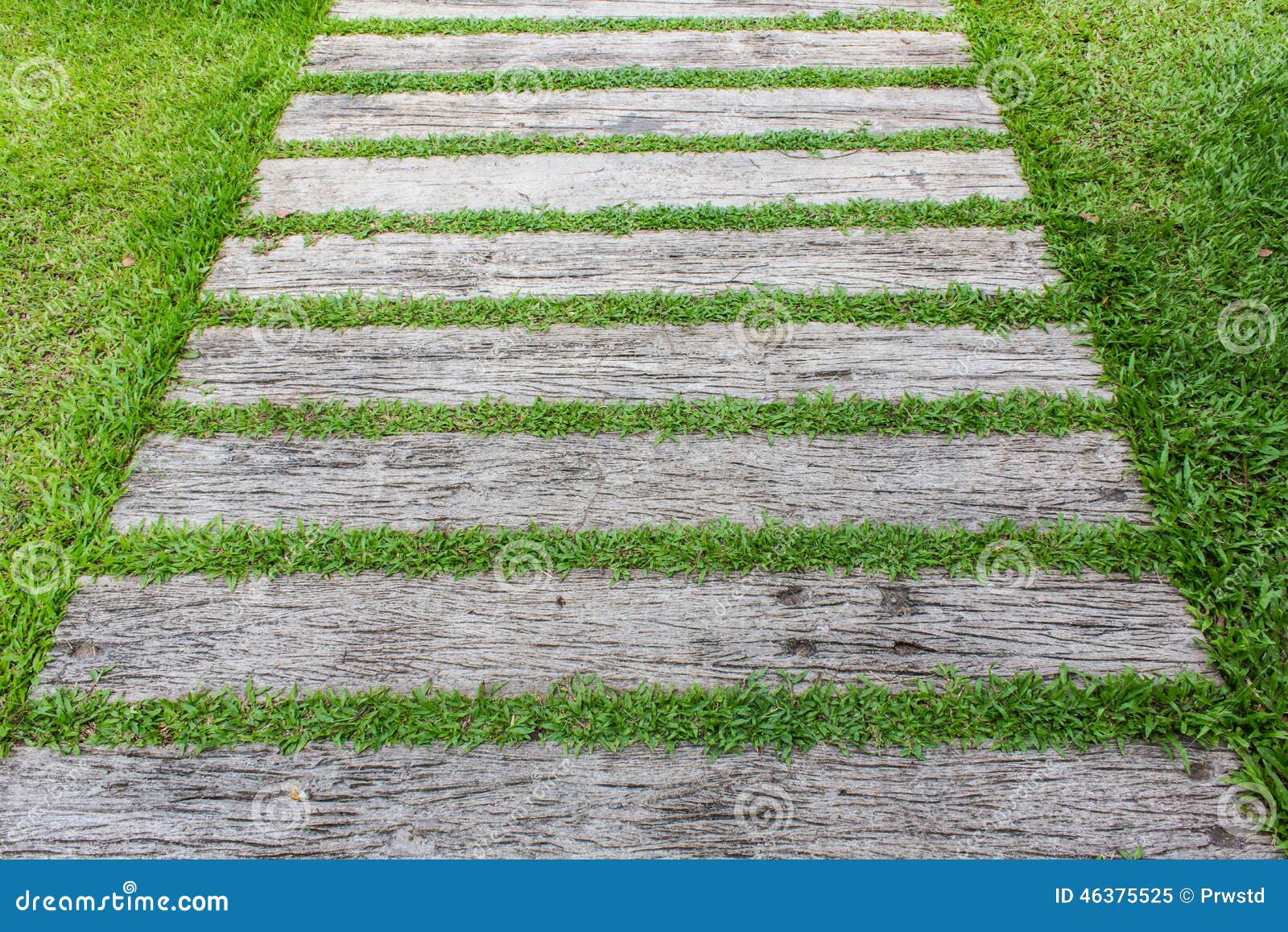 Block Walk Path in the Garden with Green Grass Stock Image - Image of ...