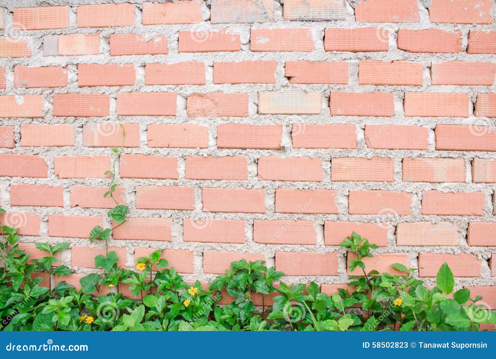 Block wall wallpaper stock image. Image of wall, concrete - 58502823