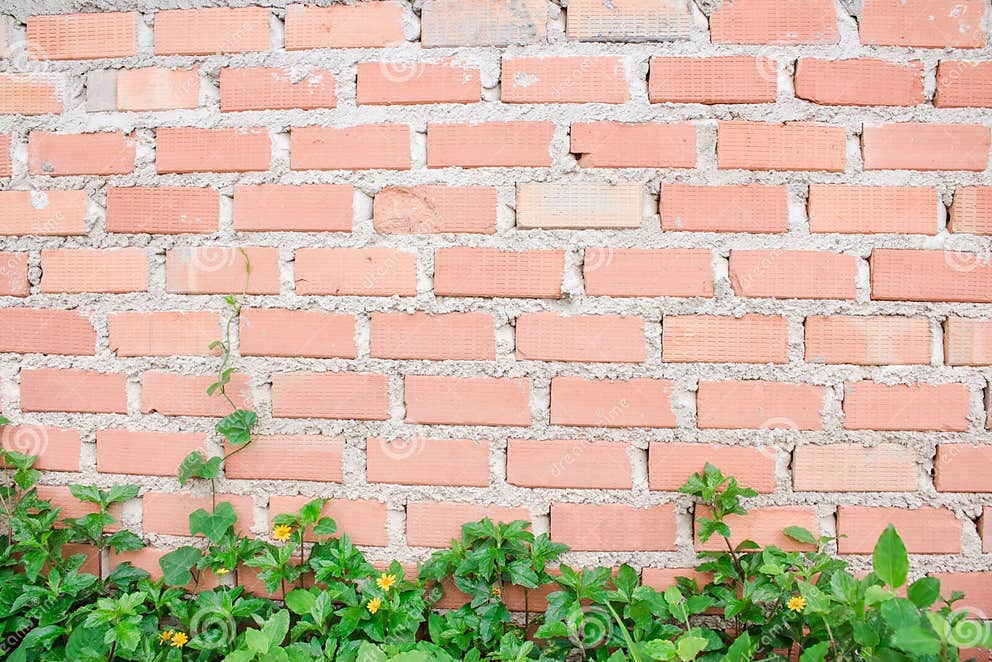 Block wall wallpaper stock image. Image of wall, concrete - 58502823