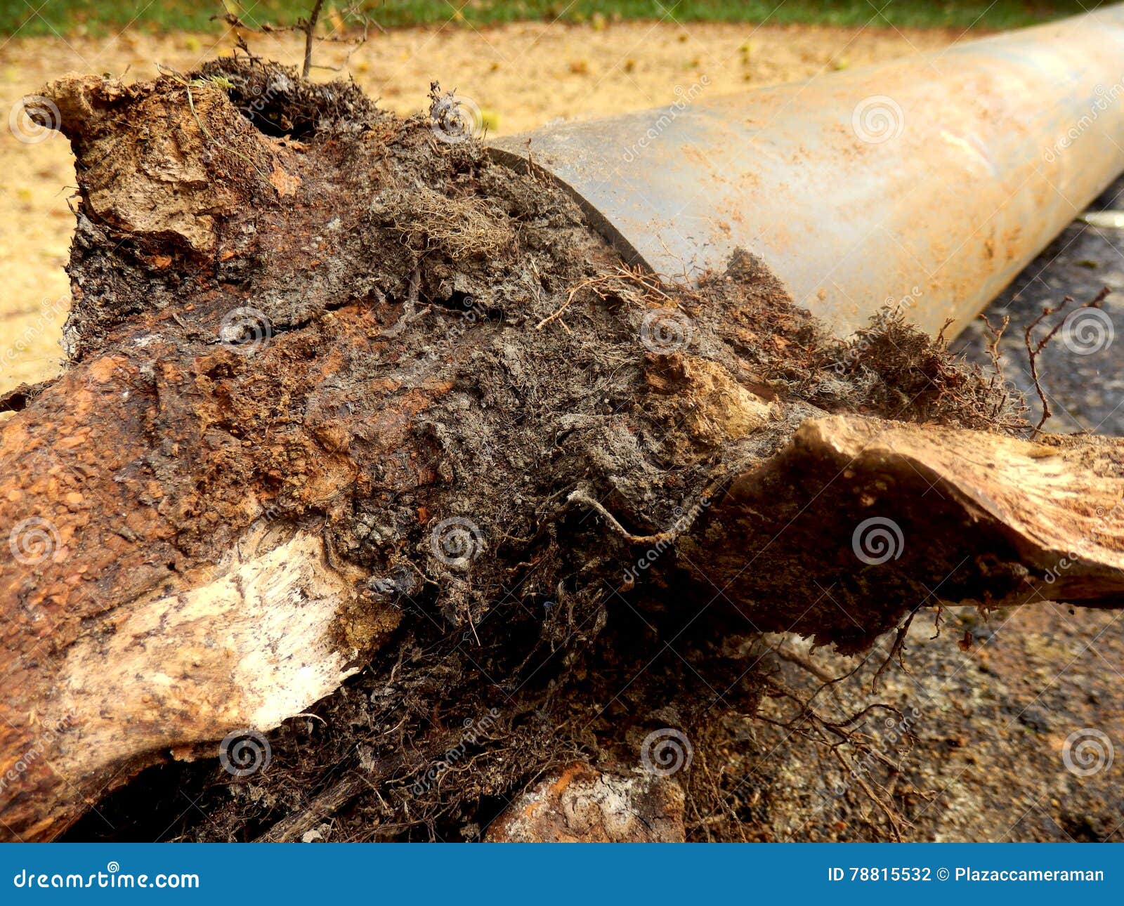 Blocked drainage pipe stock photo. Image of plumbing - 78815532