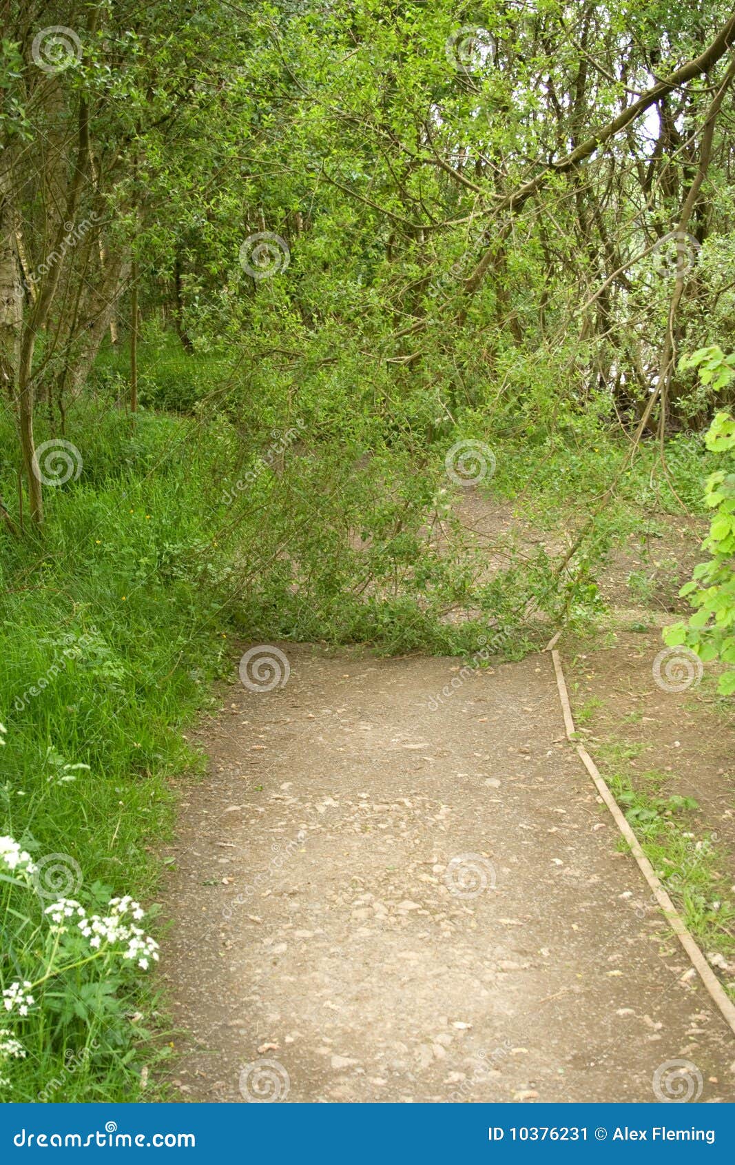 Blocked Path stock image. Image of broken, blocking, pathway - 10376231