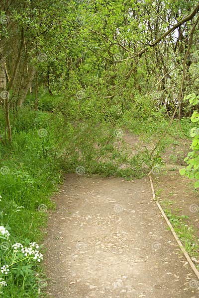 Blocked Path stock image. Image of broken, blocking, pathway - 10376231