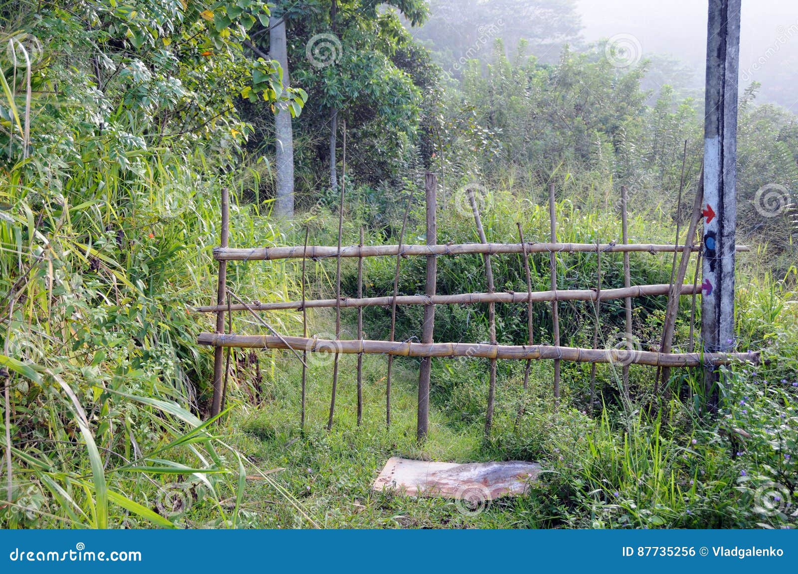 Blocked Path Stock Photos - Download 511 Royalty Free Photos