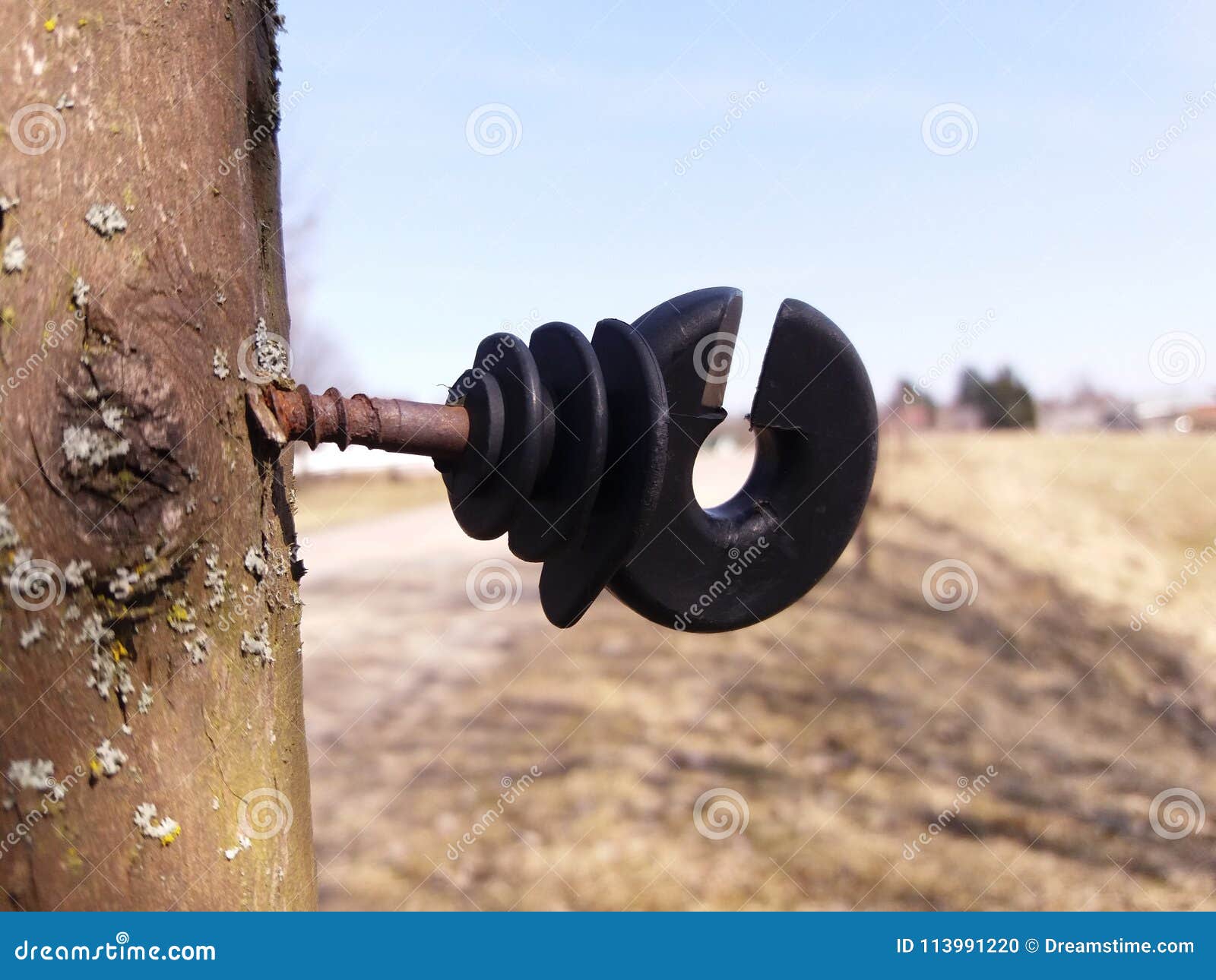 Blocker stock photo. Image of spring, warm, wood, blocker - 113991220