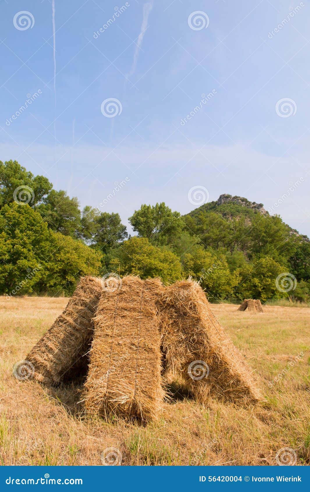 Blocks with Hay in the Fields Stock Photo - Image of time, france: 56420004