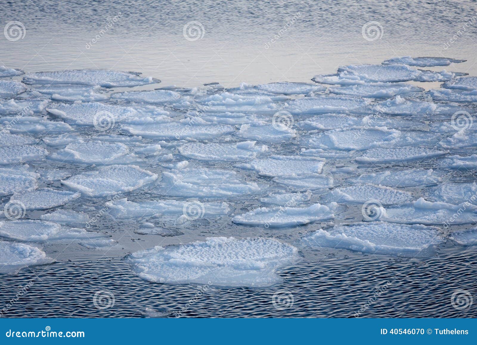 Blocks of ice on the coast stock photo. Image of fish - 40546070