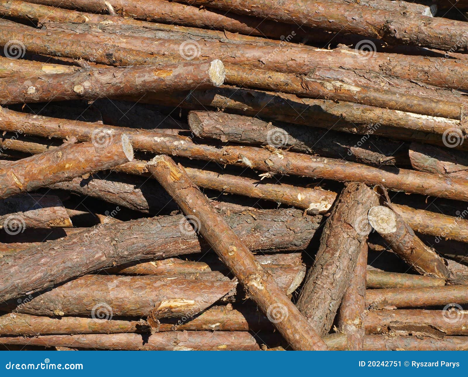 Blocks of Wood at the Stake As a Background Stock Image - Image of ...