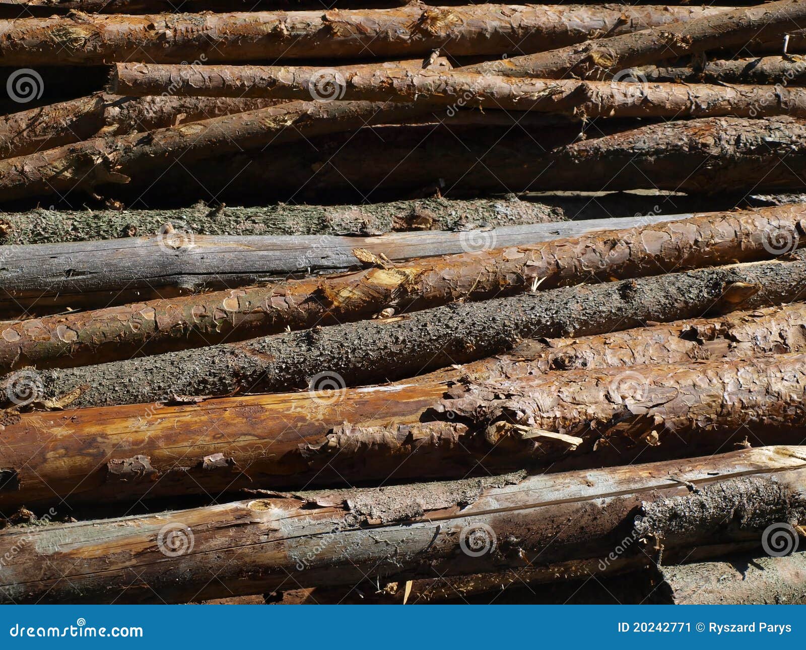 Blocks of Wood at the Stake As a Background Stock Image - Image of ...