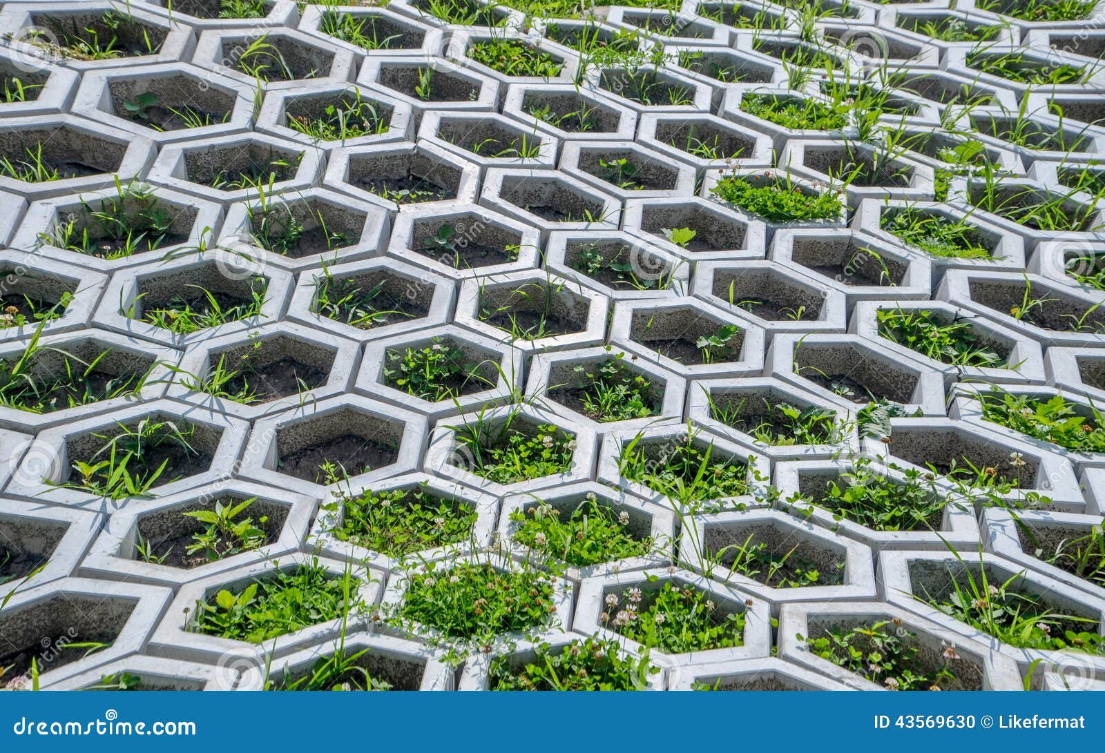 Bloco Da Grama E Do Cimento Foto de Stock - Imagem de ambiente ...