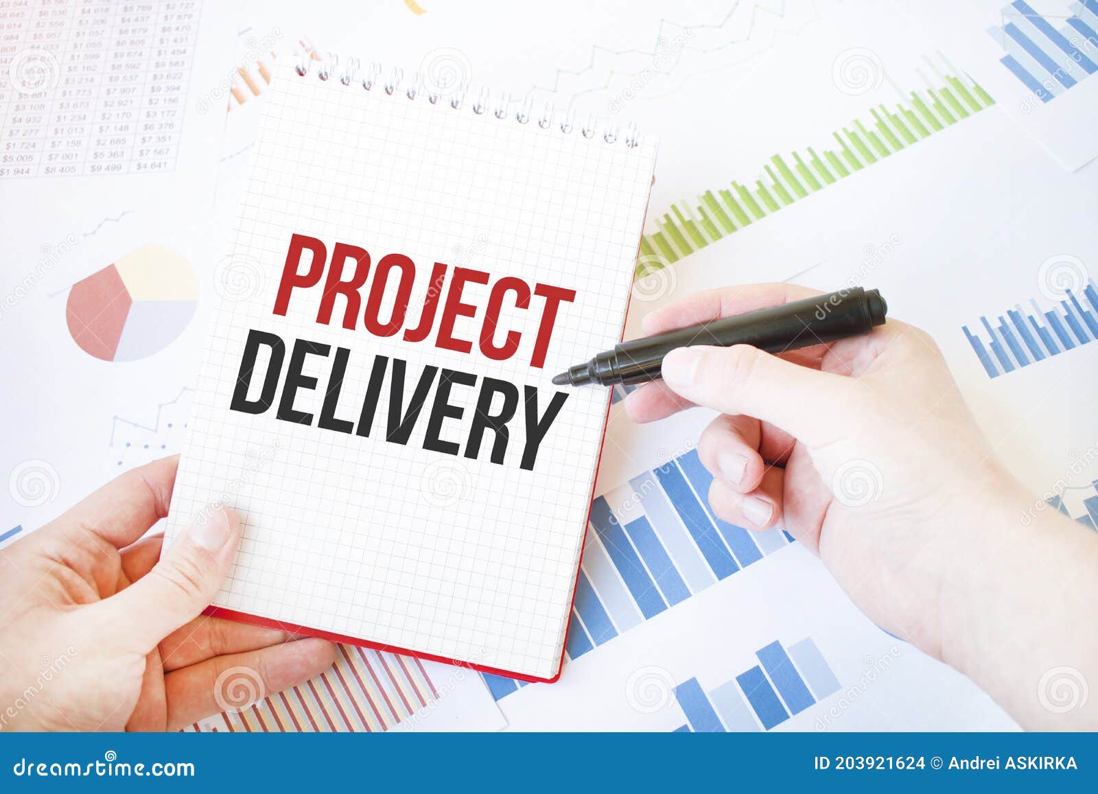 Bloco De Notas Com Entrega De Projeto De Texto. Diagrama E Fundo Branco ...