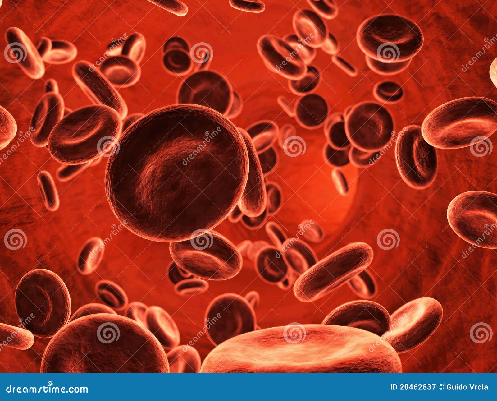 Blodcirkulation stock illustrationer. Illustration av vetenskap - 20462837