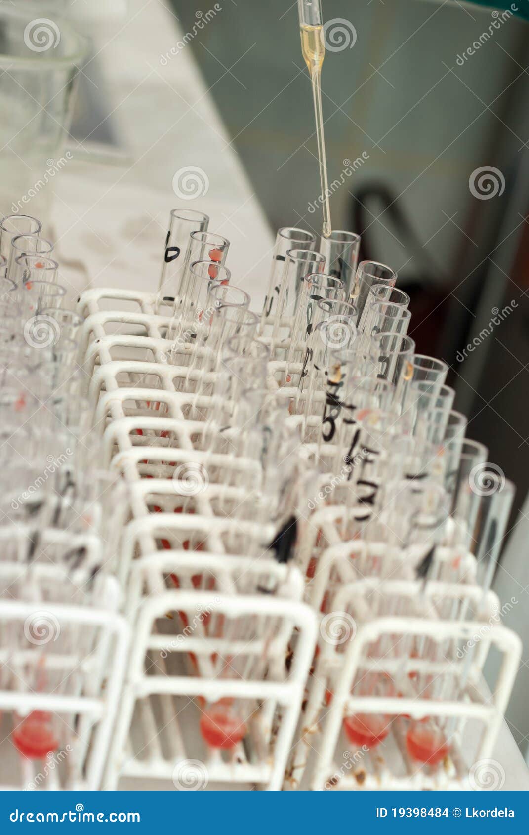 Bloed in Reageerbuizen in Echt Laboratorium Stock Foto - Image of ...