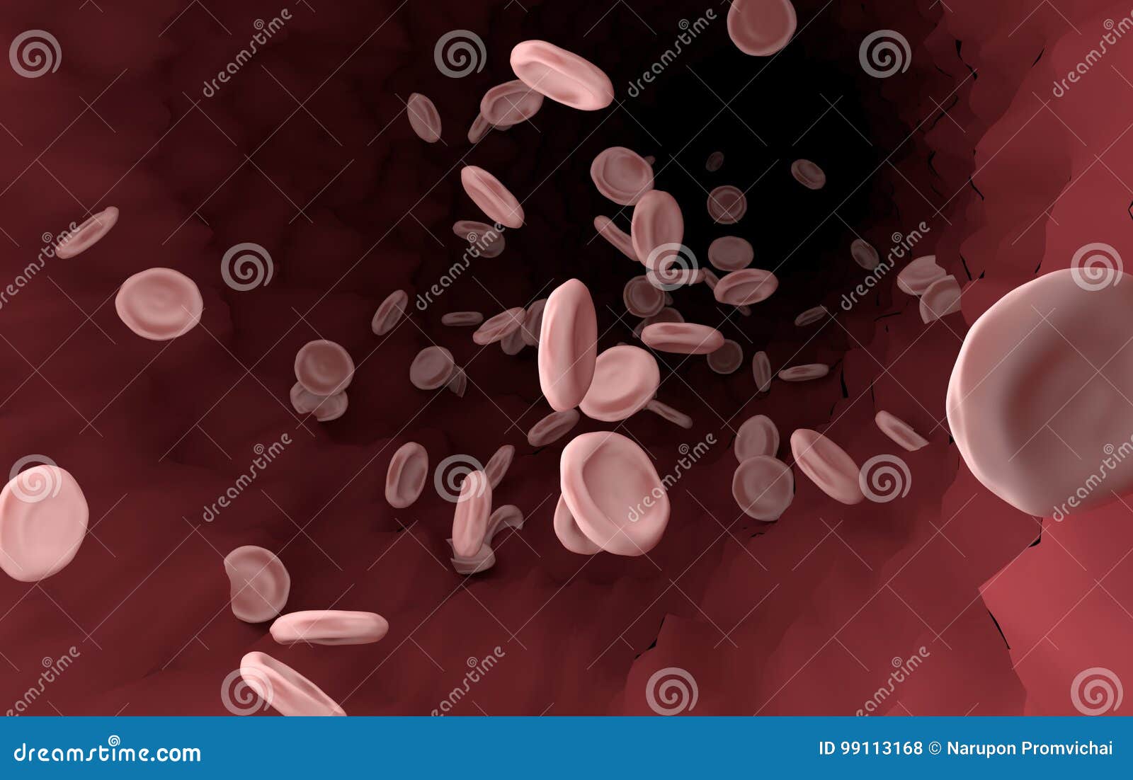 Bloedcel in ruw bloedvat stock illustratie. Illustration of slagader ...