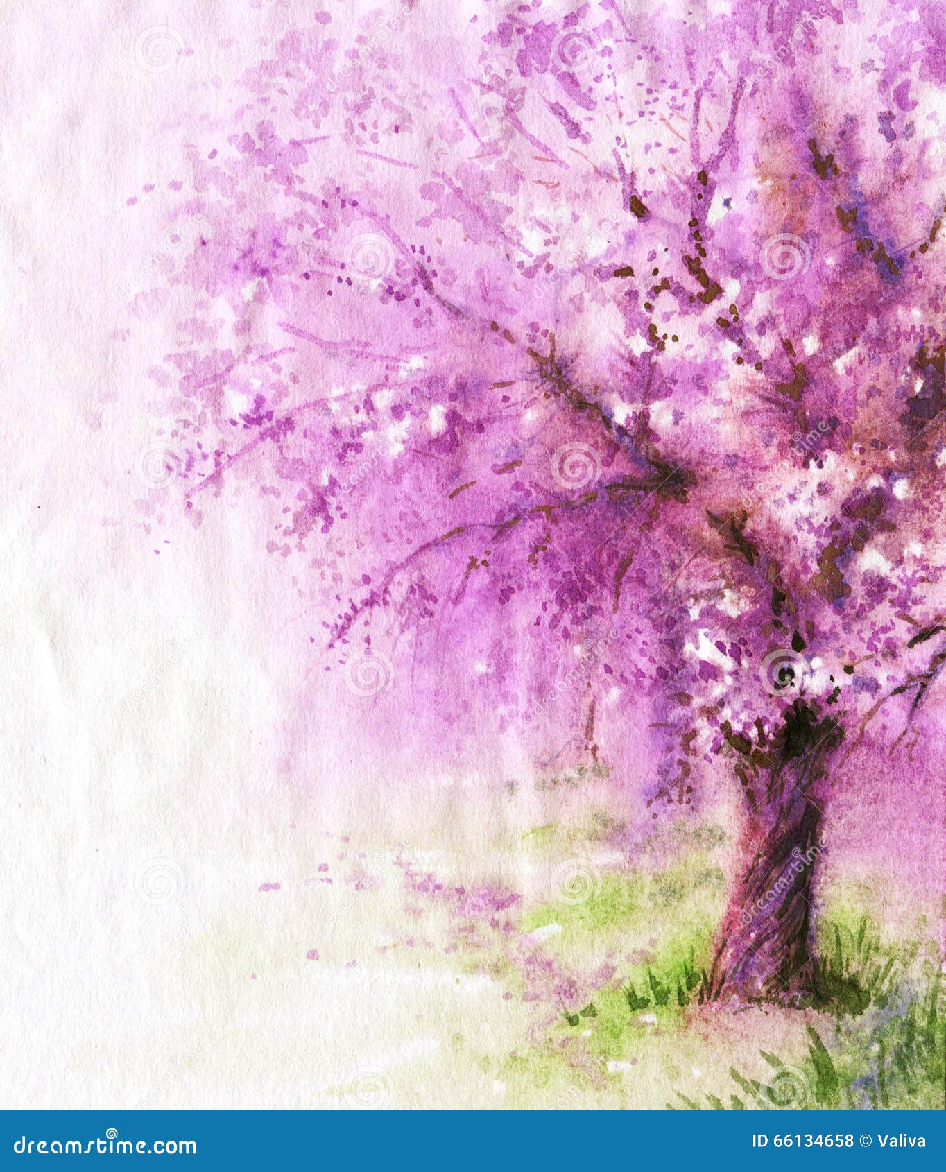 Bloeiende Sakura-boom stock illustratie. Illustration of park - 66134658